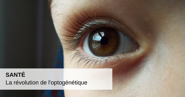 Health: the revolution of optogenetics